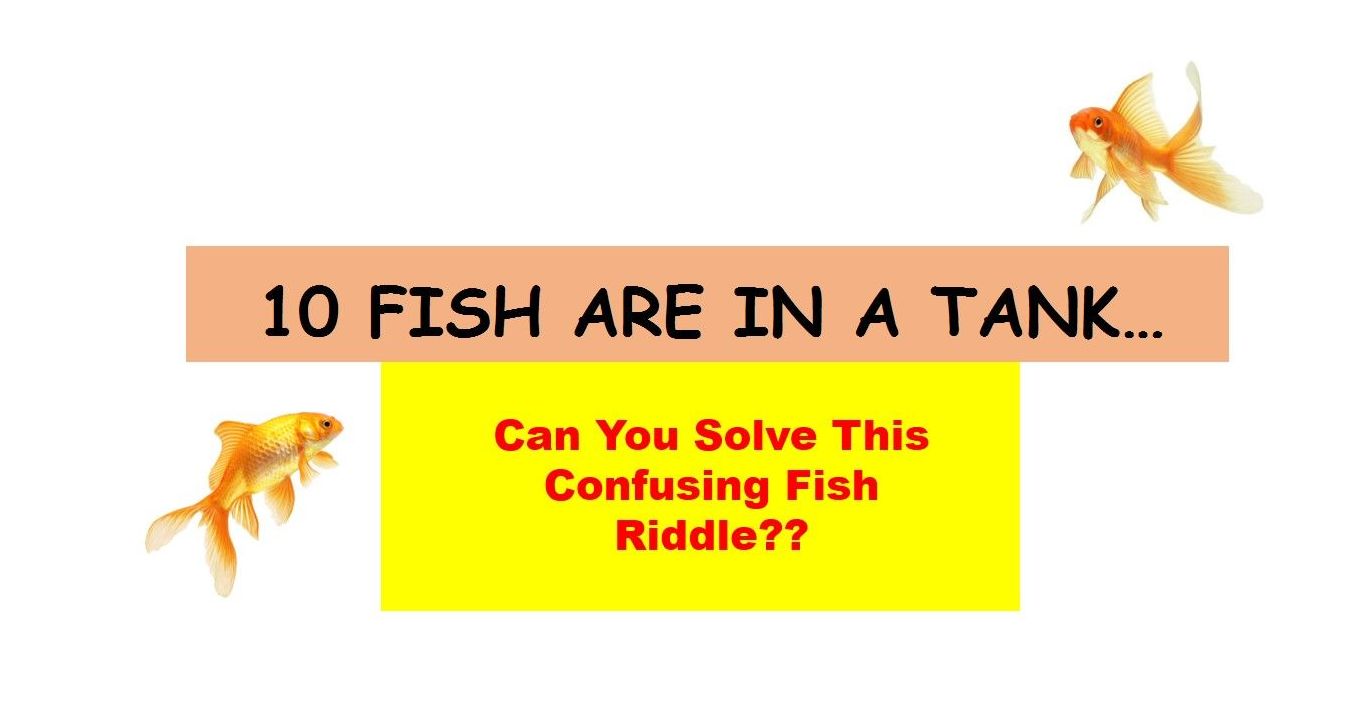 Can You Solve The Mysterious Fish Riddle??