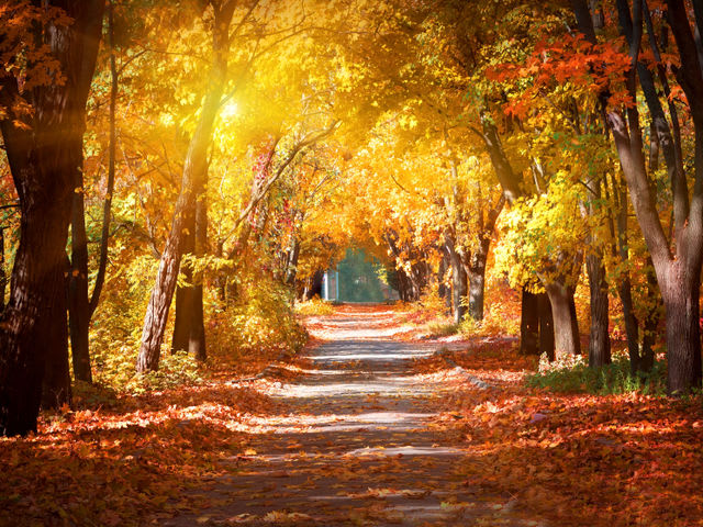 Can We Guess Your Favorite Thing About Fall? | Playbuzz
