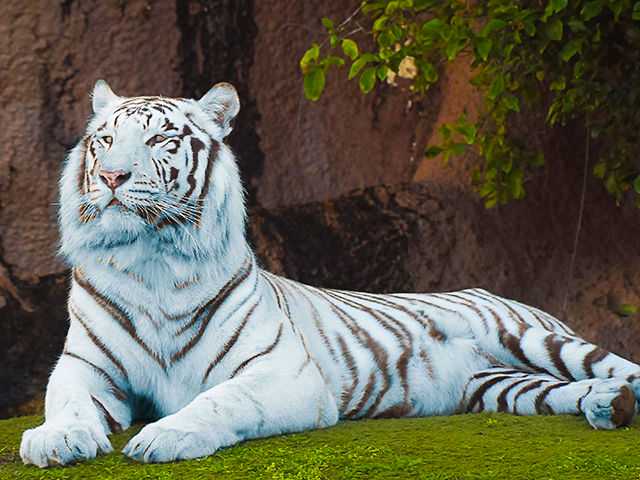 Test: Do You Know Which Of These Facts Are True? | Playbuzz