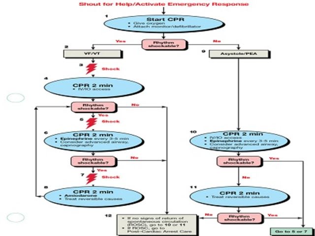 Do You Know Advanced Cardiovascular Life Support? | Playbuzz