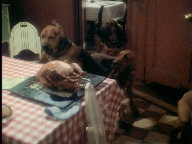 How Well Do You Remember A Christmas Story? | Playbuzz