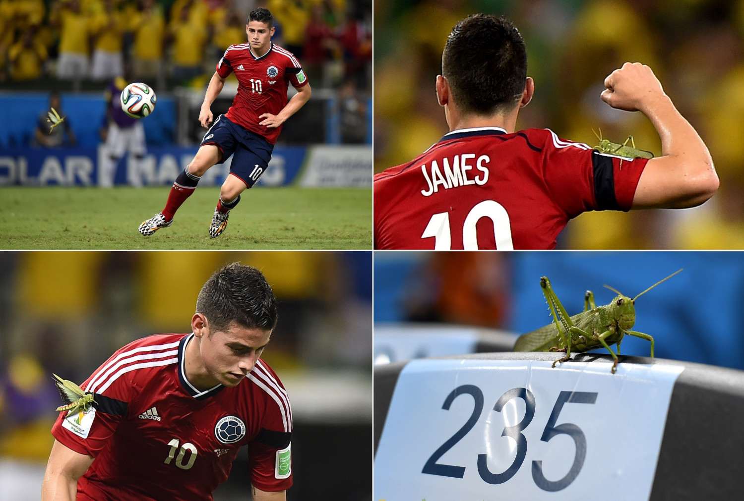 james rodriguez mantis