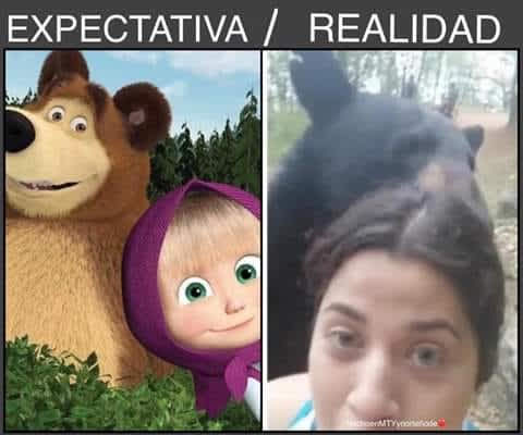 Memes Para El Oso